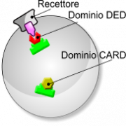 Apoptosi - biologia cellulare