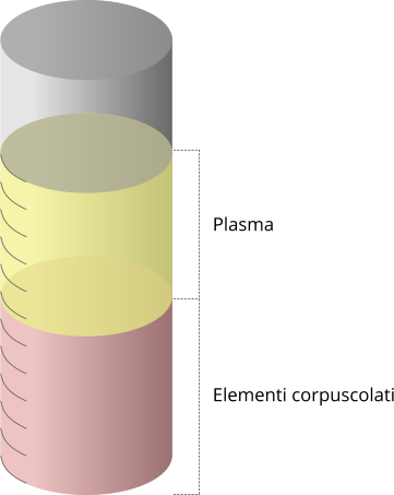 Salute e benessere: Ematocrito