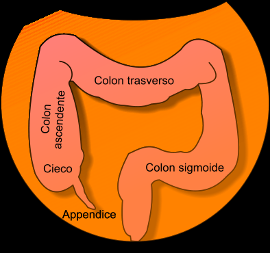 Salute e benessere: Enterite