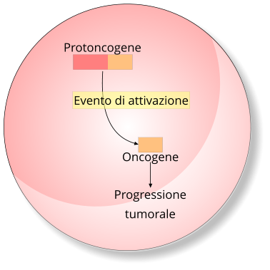 Oncogene - genetica
